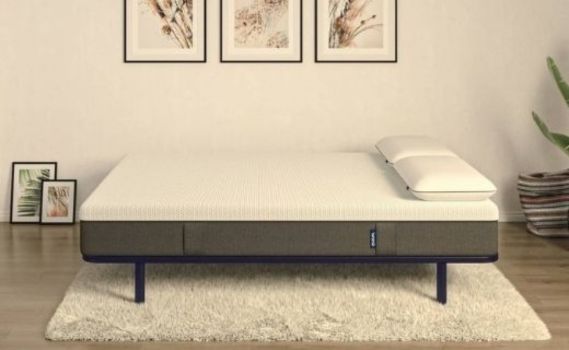 Kano Platform Bed by MADE Reviews - Is It Worth Buying?